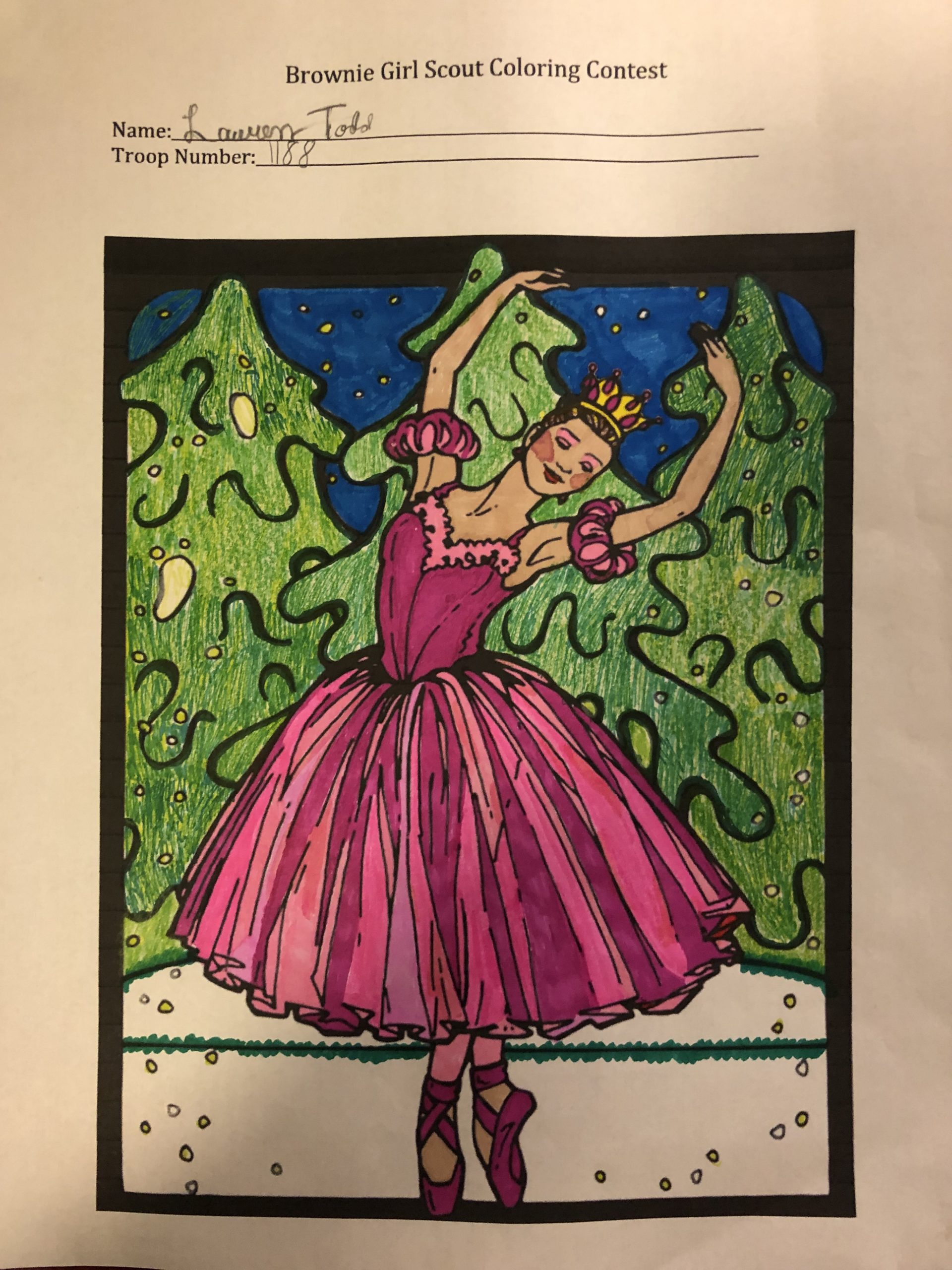 Girl Scout Troop Information – North Texas Youth Ballet